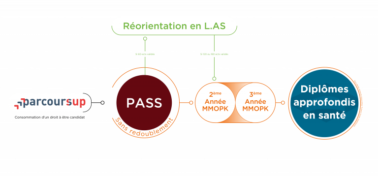 Réussir son PASS - Études de santé & médecine - Tutorat Saint-Etienne